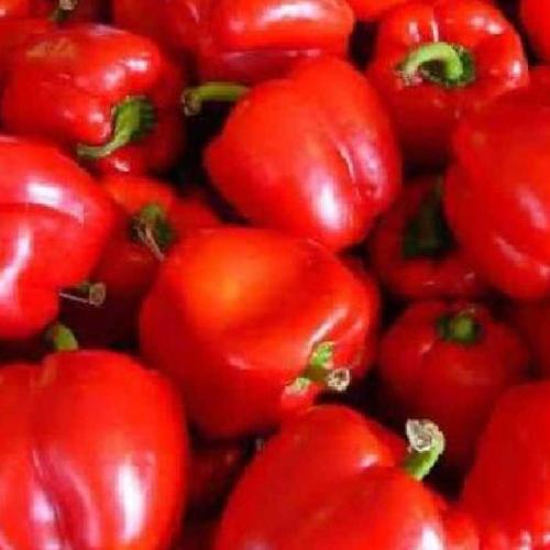 Paprika Merah